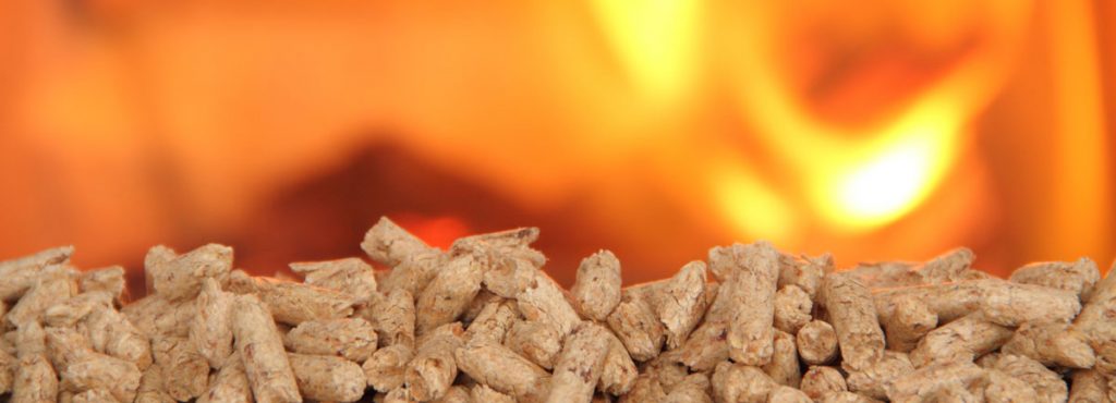 Guida su come fare il pellet in casa | AgriEuro Blog