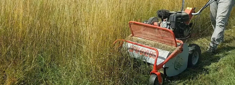 Guida all'Acquisto del Trinciaerba a Scoppio | AgriEuro Blog